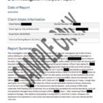 DUI Sample Report - Training Resolved, LLC